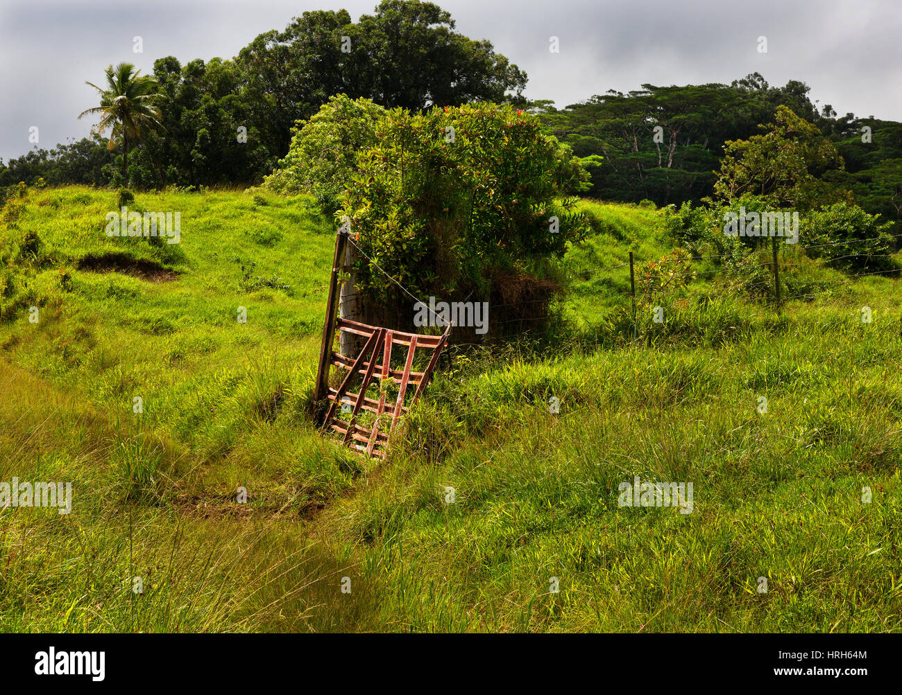 Old Gate, Pasture, Maui, Hawaii Stock Photo - Alamy