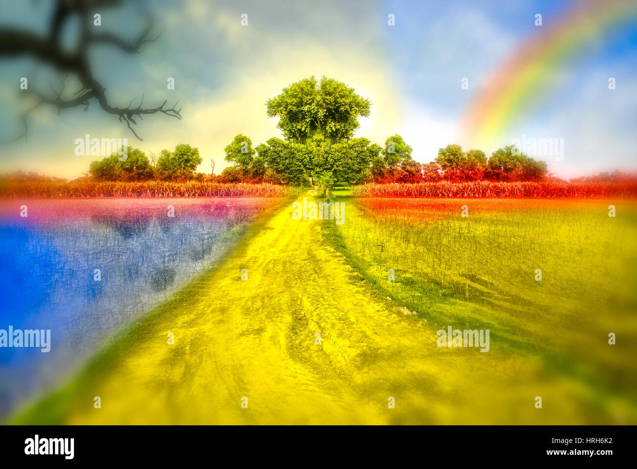 multi color landscape with path and rainbow Stock Photo - Alamy