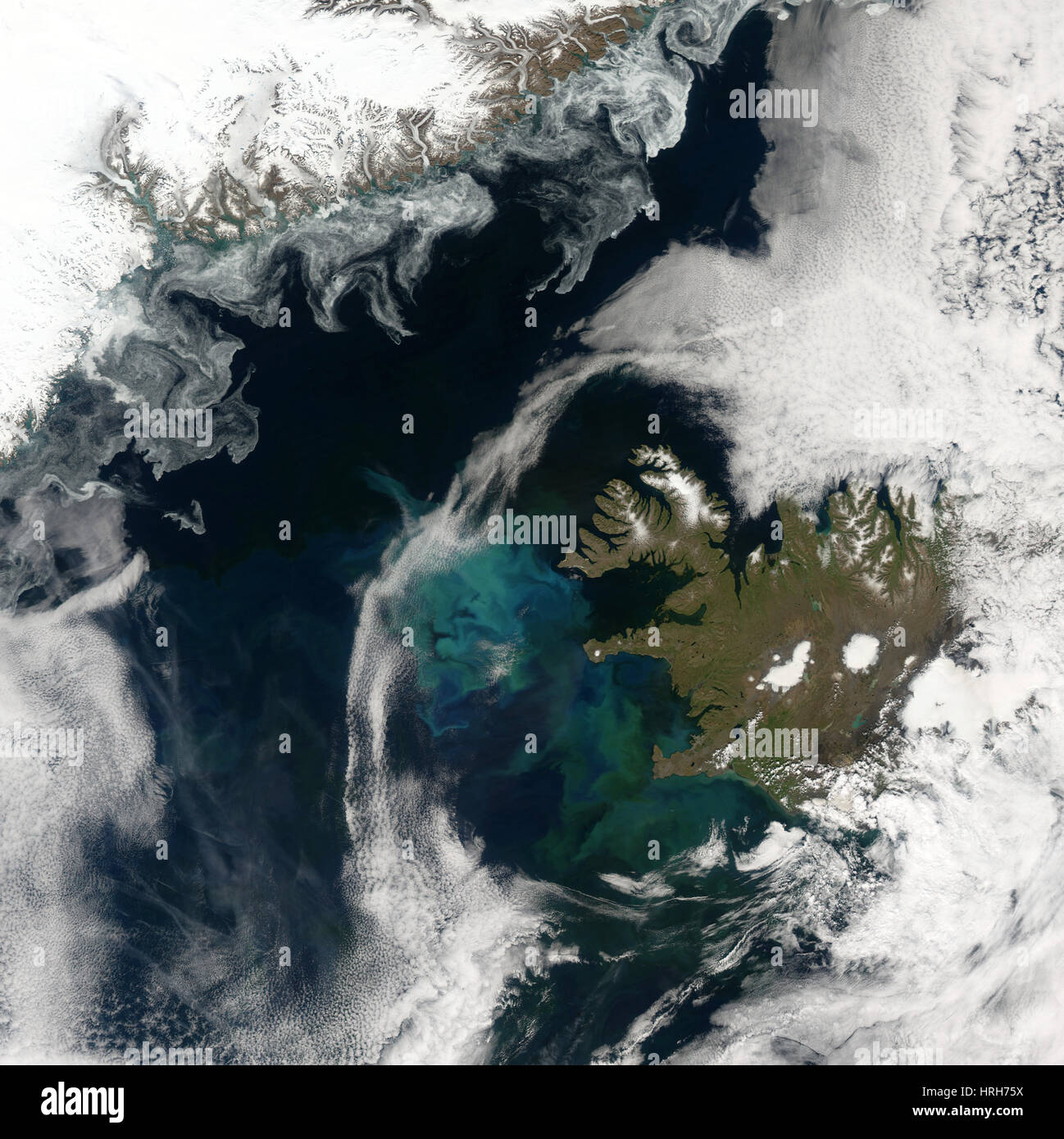 North Atlantic Bloom Stock Photo - Alamy