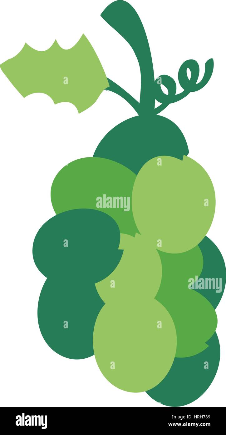 Grape icon hi-res stock photography and images - Alamy