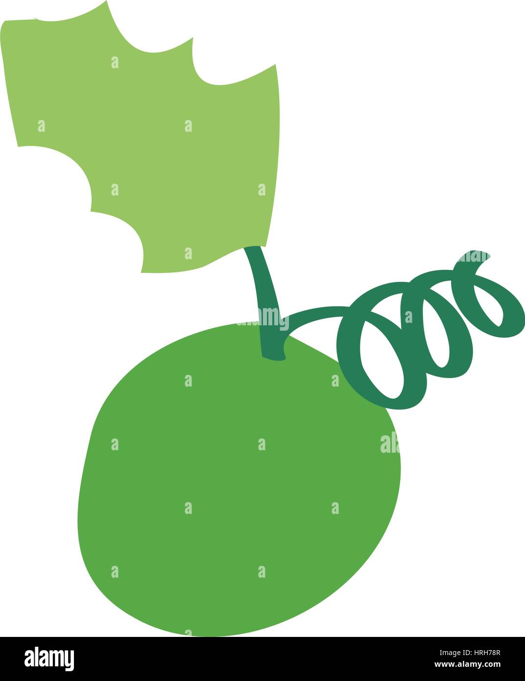 Green grape wine line Stock Vector Images - Alamy