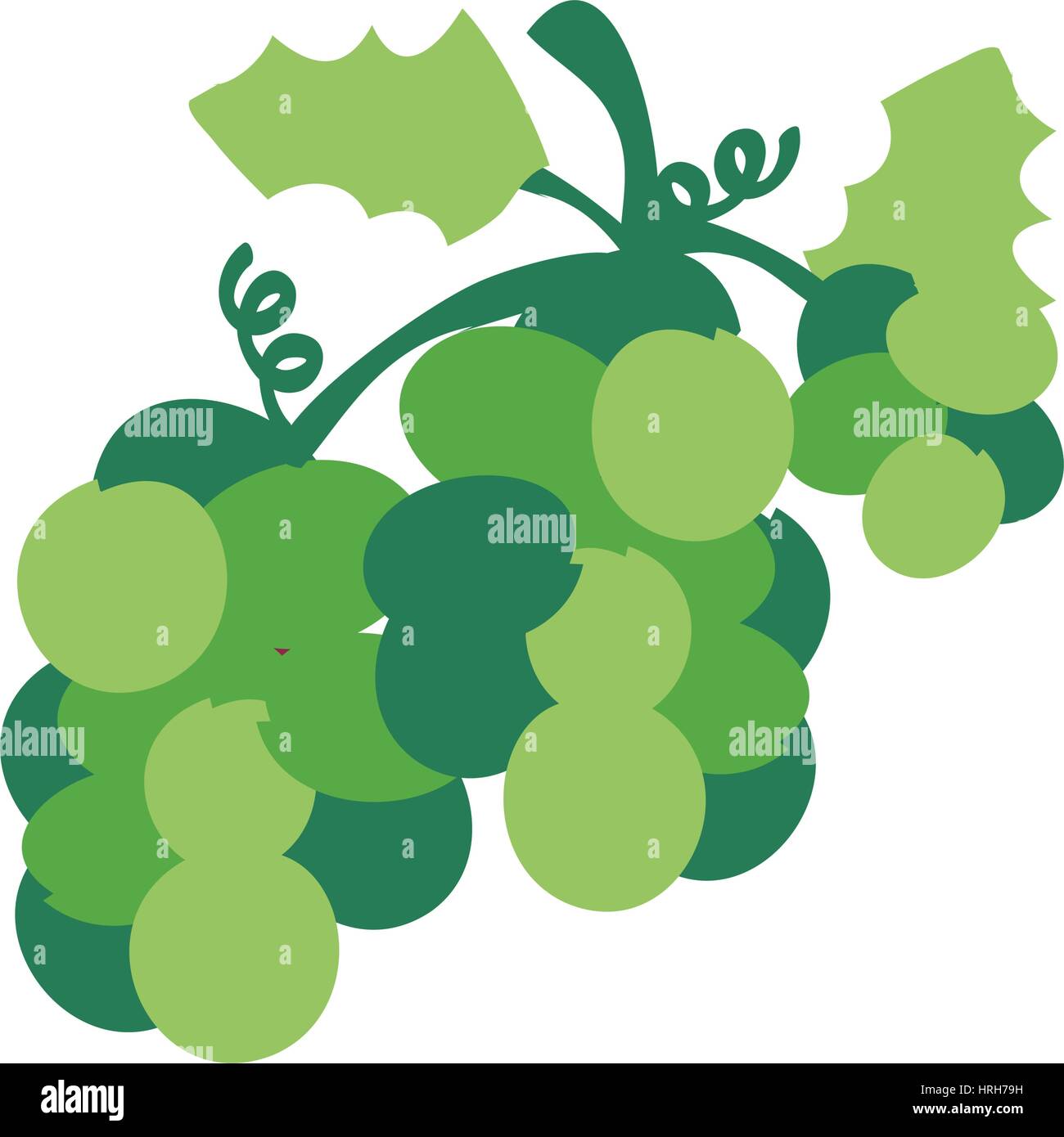 Green grape wine line Stock Vector Images - Alamy