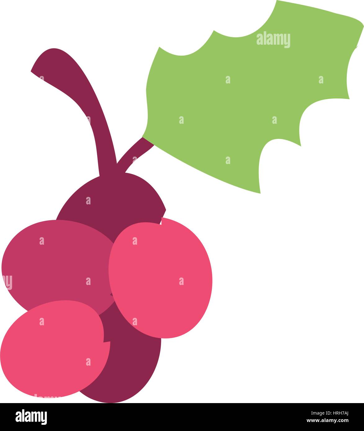 Ripe grape icon outline Cut Out Stock Images & Pictures - Alamy