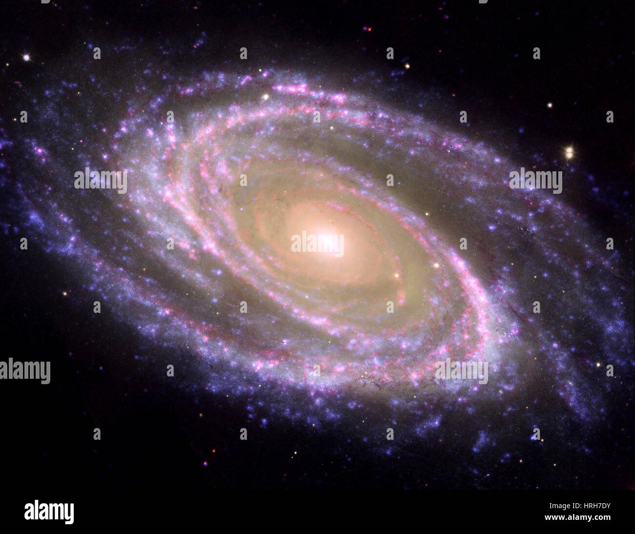 M81 spiral galaxy hi-res stock photography and images - Alamy