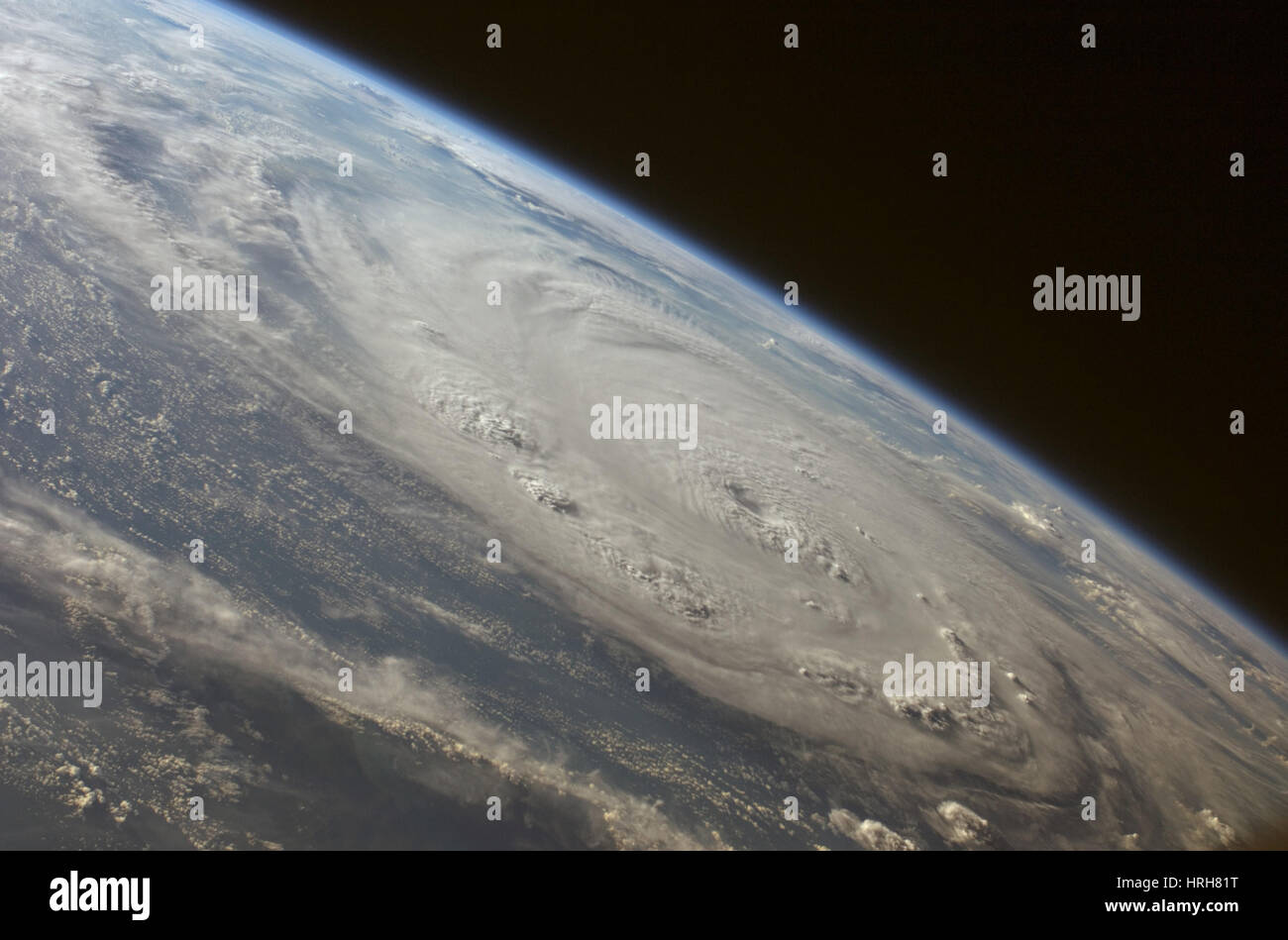 Felix hi-res stock photography and images - Alamy