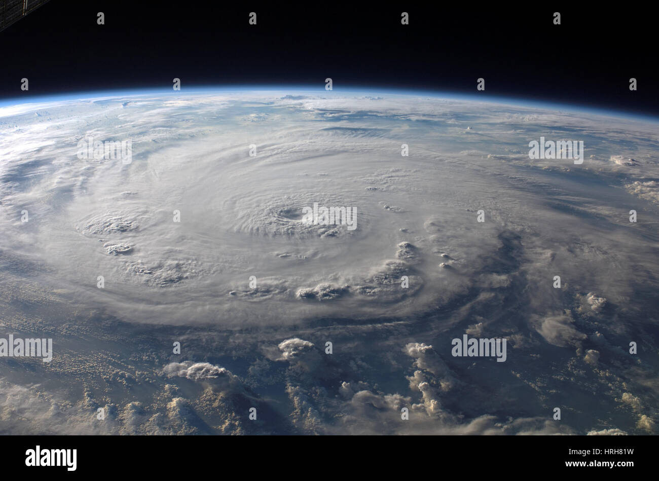 Felix felix hi-res stock photography and images - Alamy