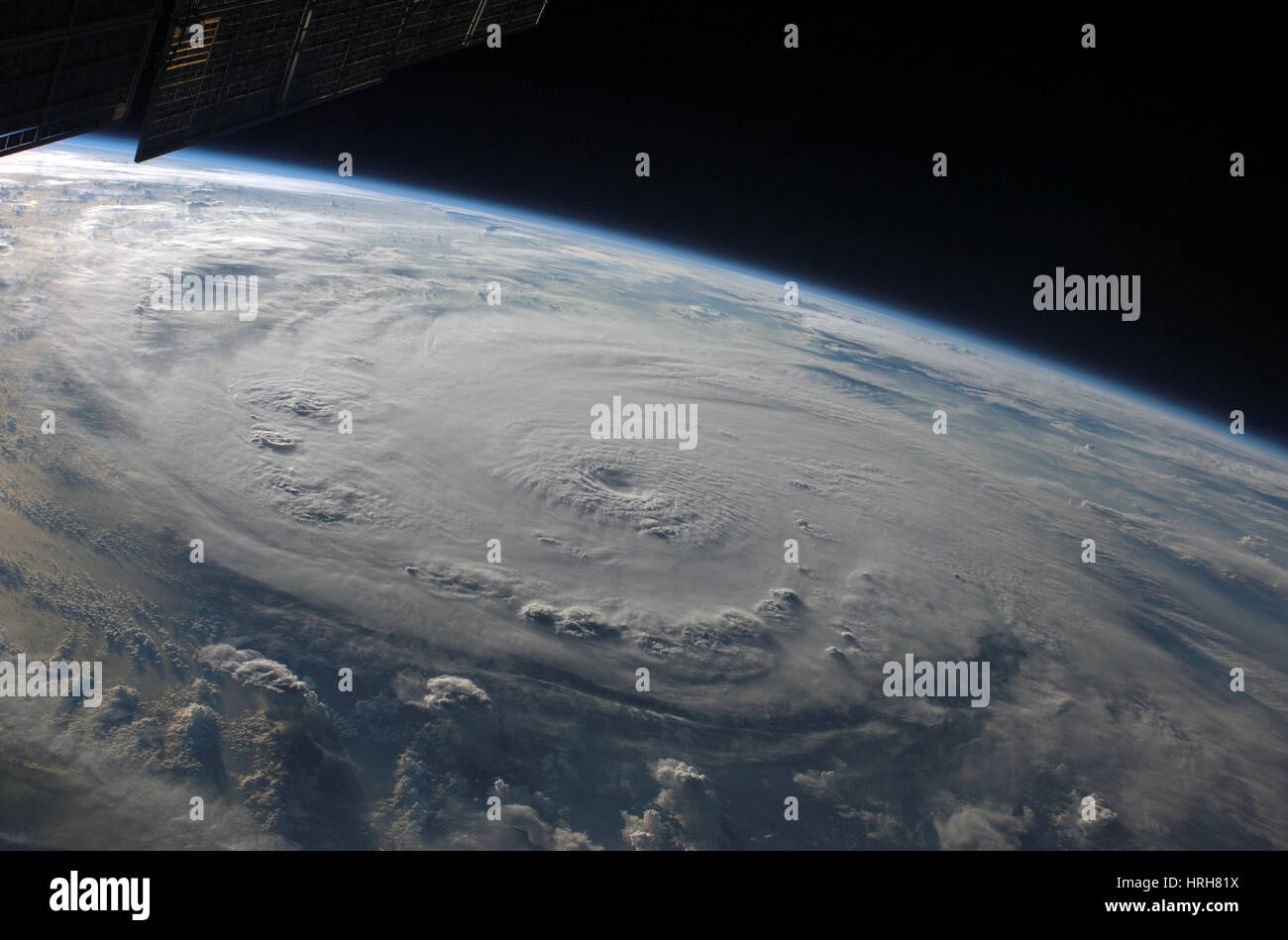 Felix felix hi-res stock photography and images - Alamy