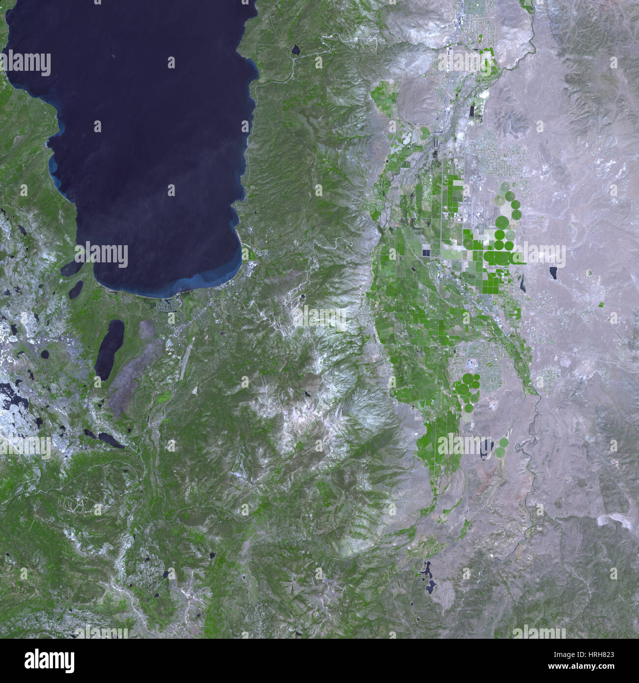 Angora fire, south of Lake Tahoe Stock Photo - Alamy