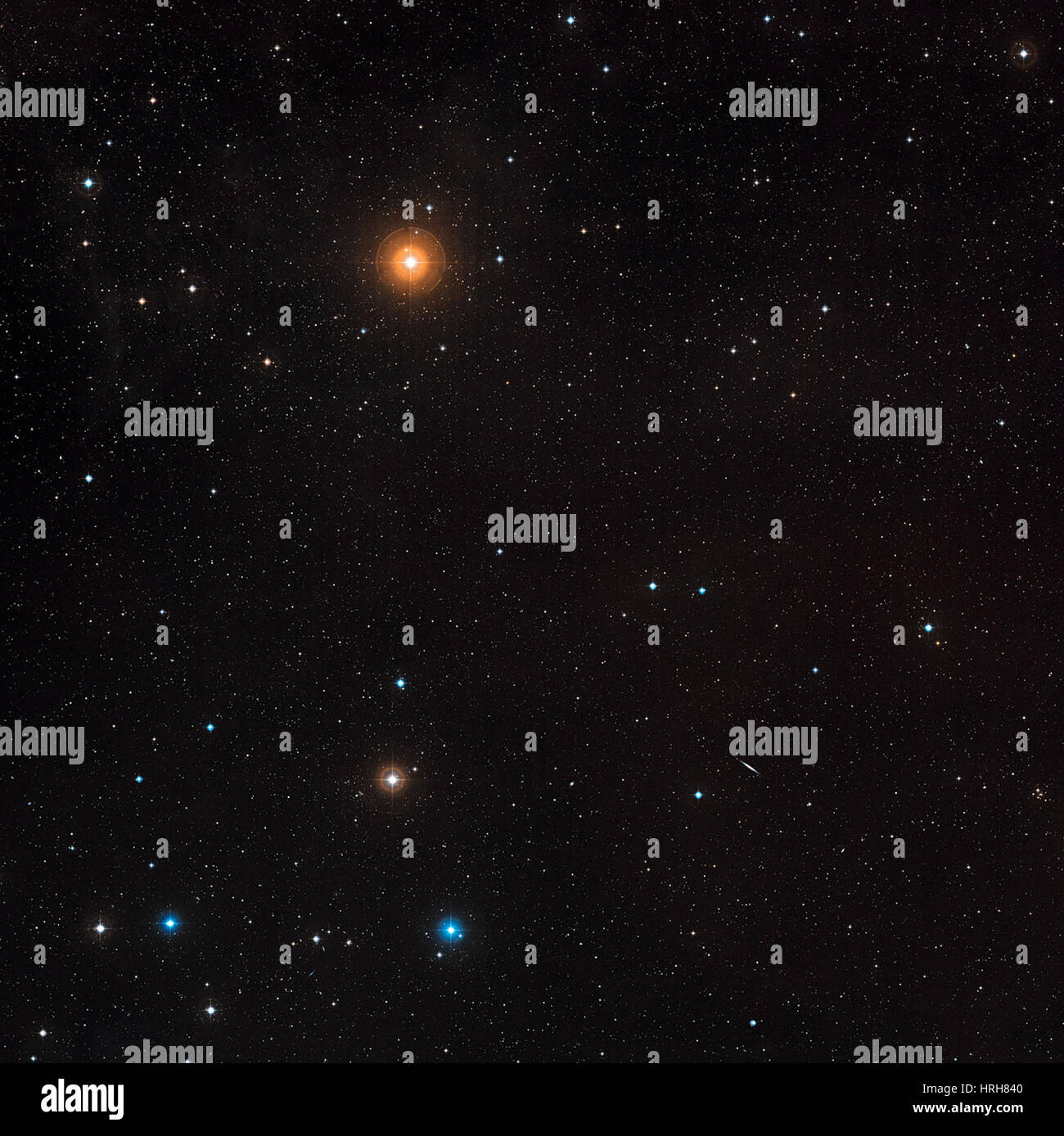 Cluster hi-res stock photography and images - Alamy