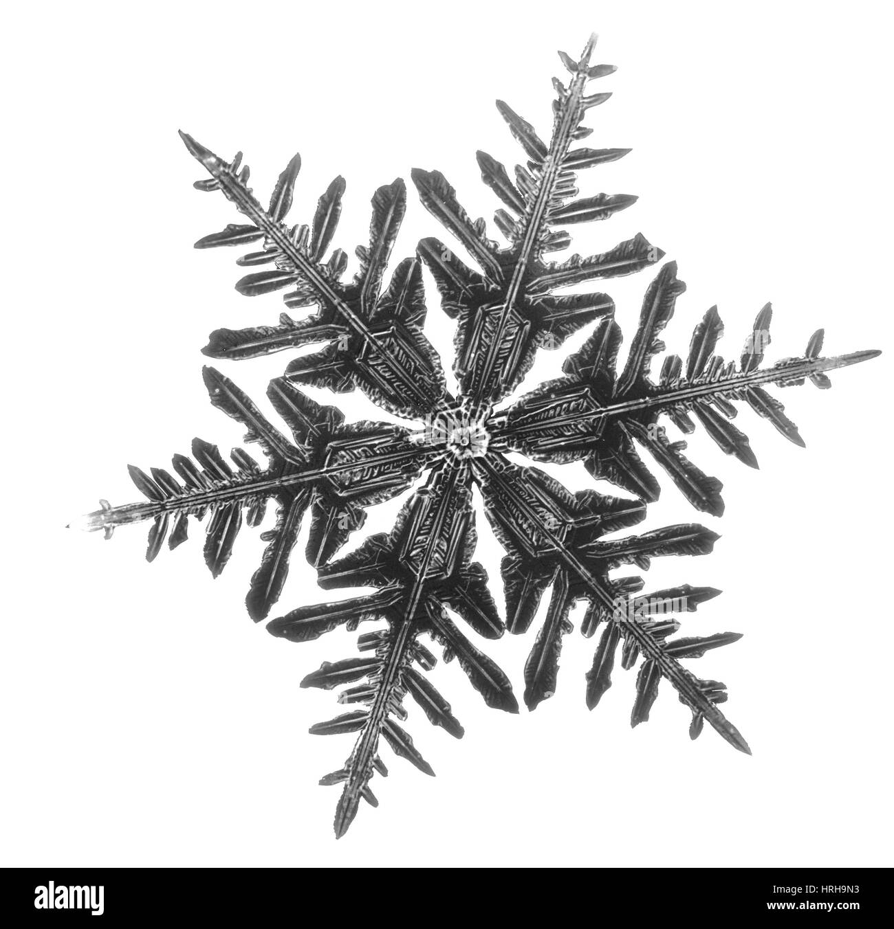 Dendrite snowflake hi-res stock photography and images - Alamy