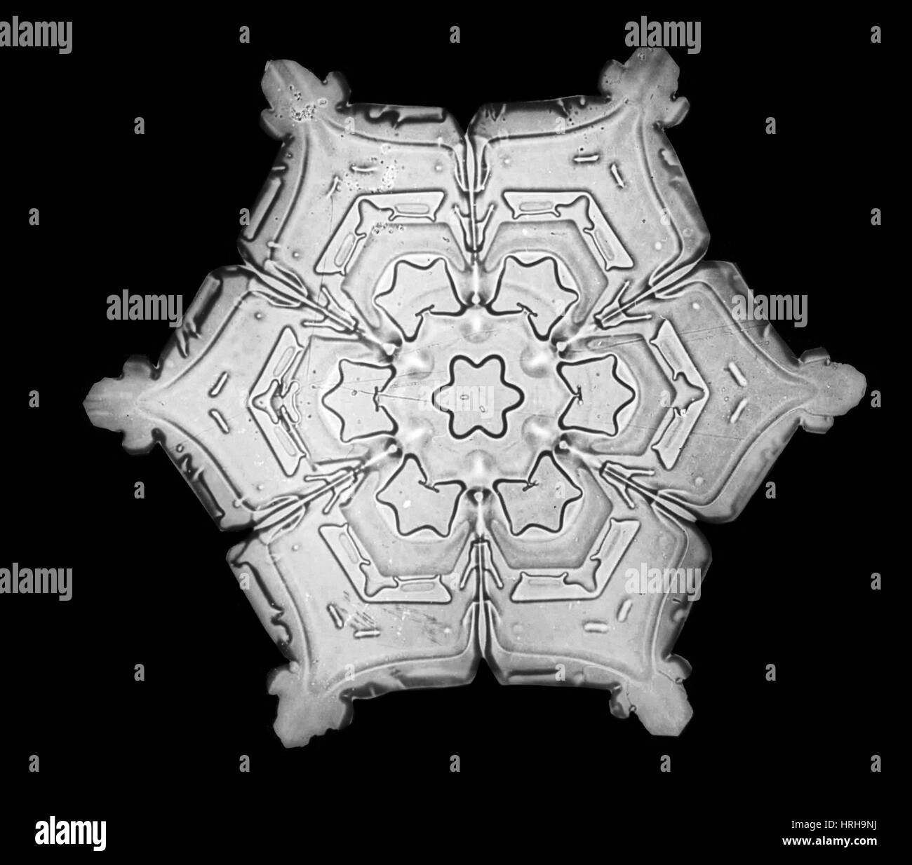 Dendrite snowflake hi-res stock photography and images - Alamy