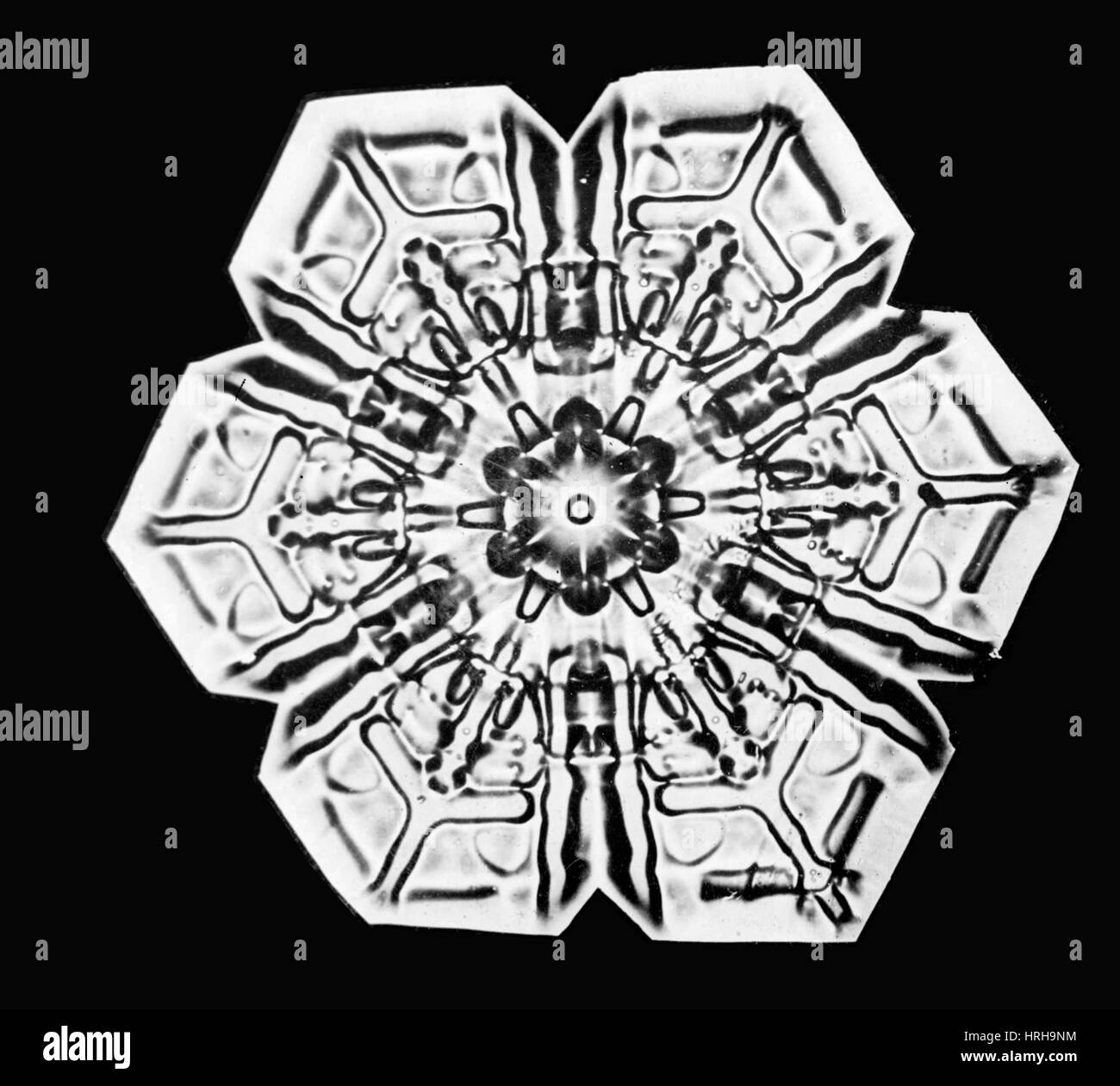 Wilson bentley snowflake hi-res stock photography and images - Alamy