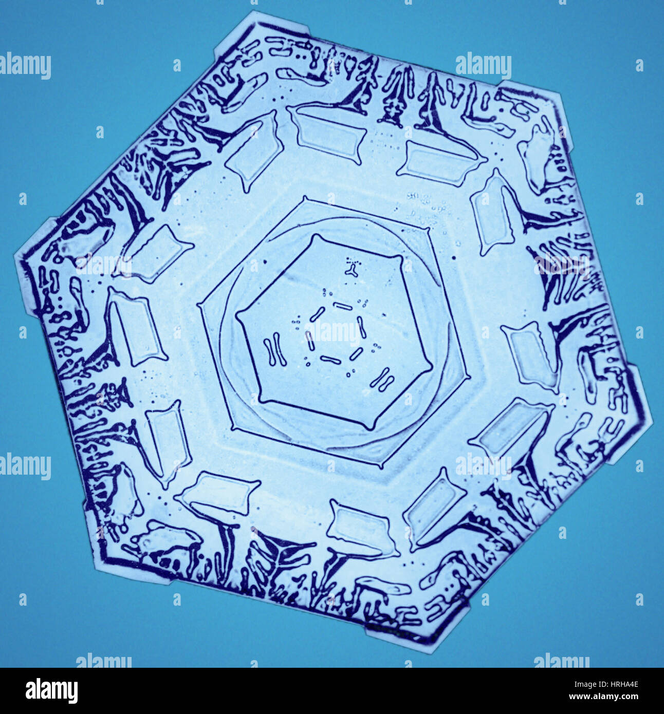 Wilson bentley snowflake hi-res stock photography and images - Alamy
