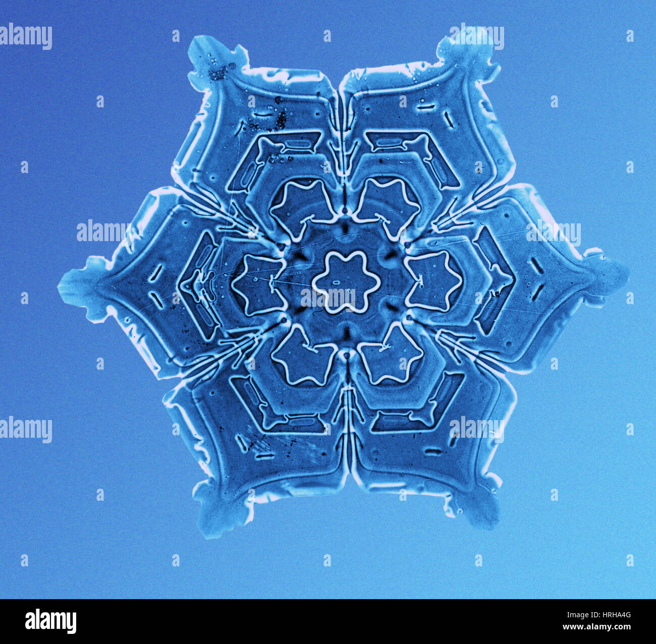 Wilson bentley snowflake hi-res stock photography and images - Alamy