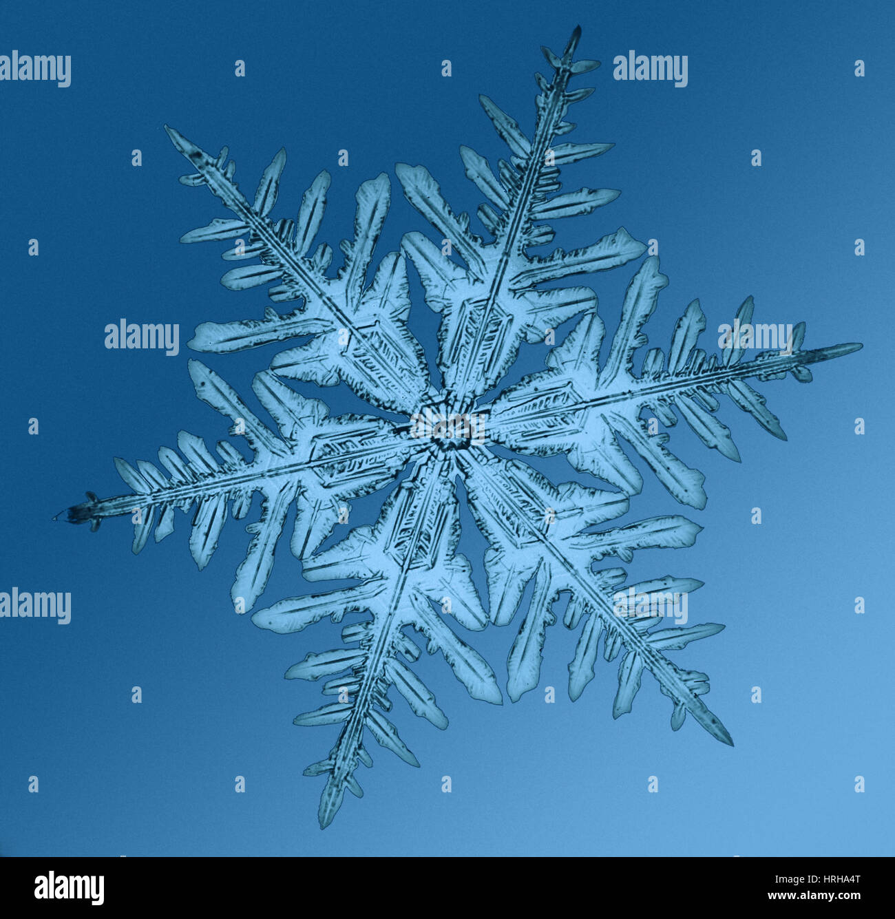 Dendrite snowflake hi-res stock photography and images - Alamy