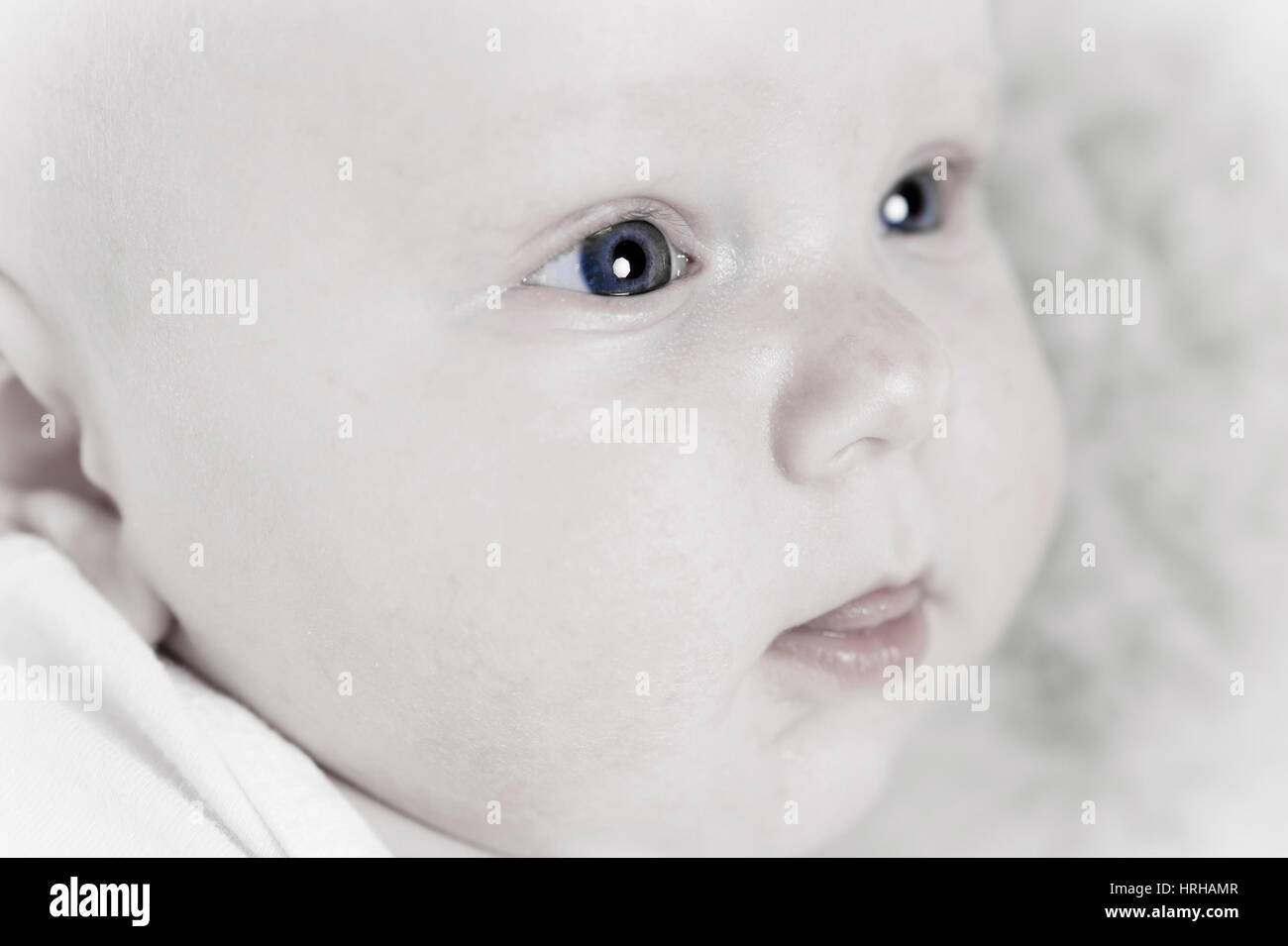 Model released, Babyportrait, Bub 3 Monate - baby in portrait Stock ...