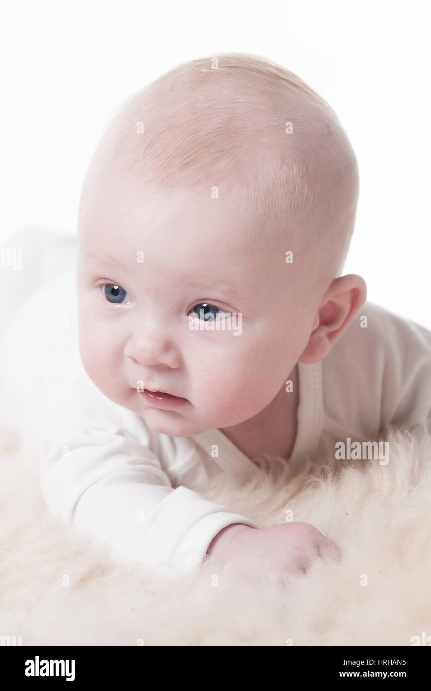 Model released, Babyportrait, Bub 3 Monate - baby in portrait Stock ...