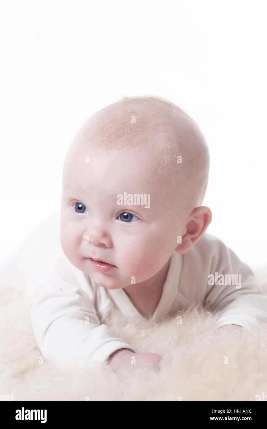 Model released, Babyportrait, Bub 3 Monate - baby in portrait Stock ...