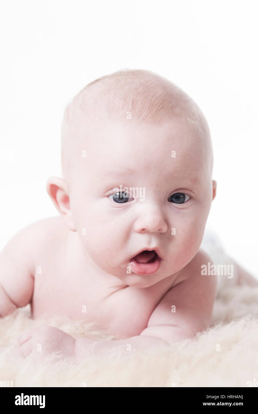 Model released, Babyportrait, Bub 3 Monate - baby in portrait Stock ...