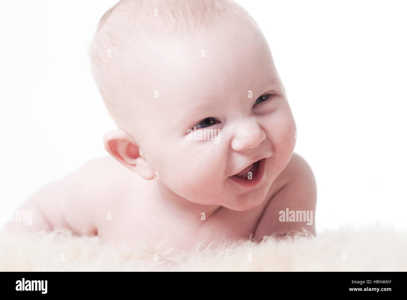 Model released, Babyportrait, Bub 3 Monate - baby in portrait Stock ...