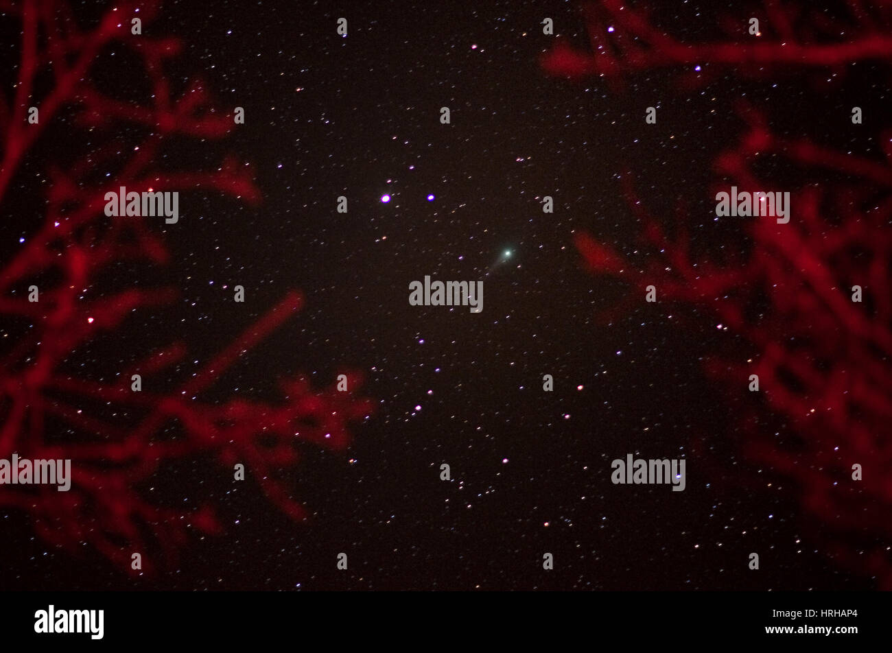 Comet lulin hi-res stock photography and images - Alamy