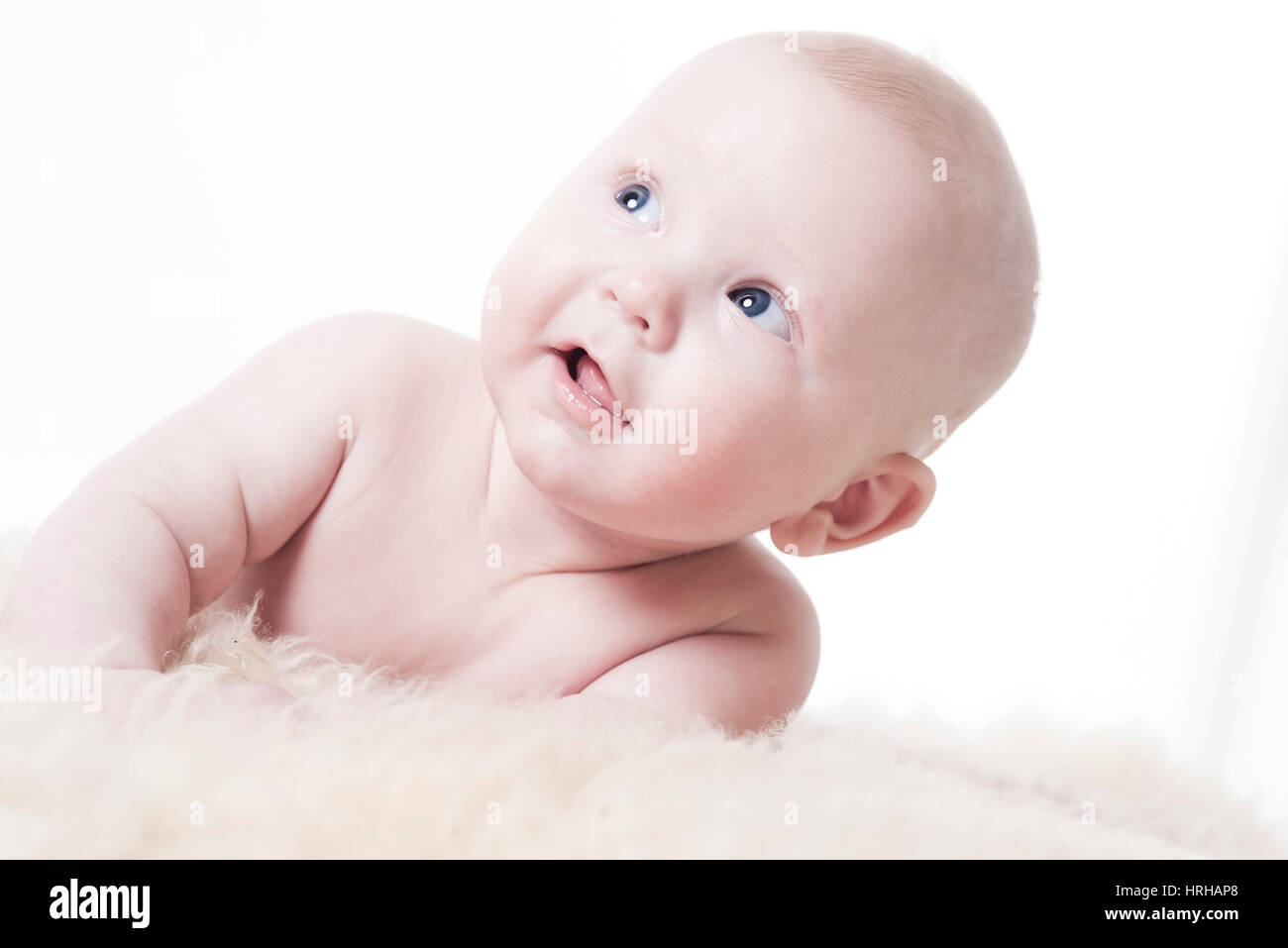 Model released, Babyportrait, Bub 3 Monate - baby in portrait Stock ...