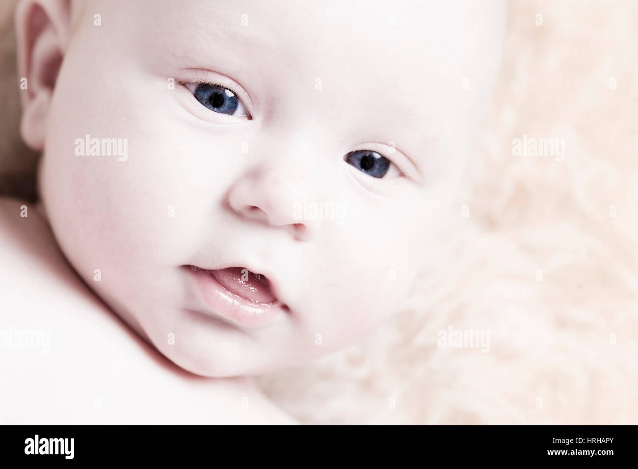 Model released, Babyportrait, Bub 3 Monate - baby in portrait Stock ...