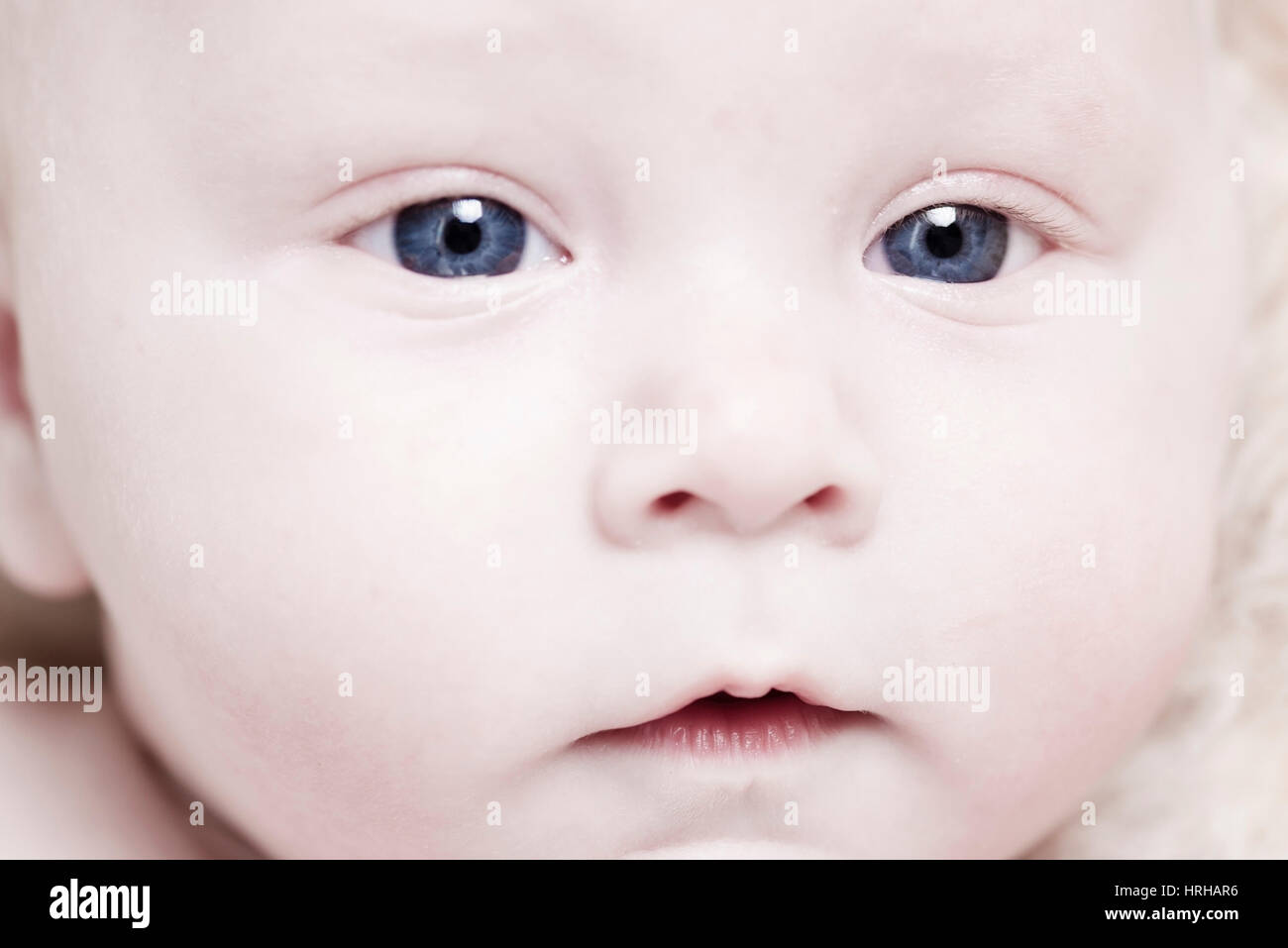 Model released, Babyportrait, Bub 3 Monate - baby in portrait Stock ...