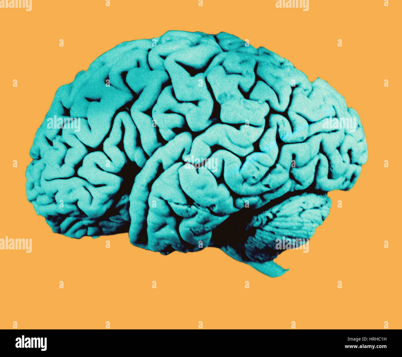 Normal hi-res stock photography and images - Alamy