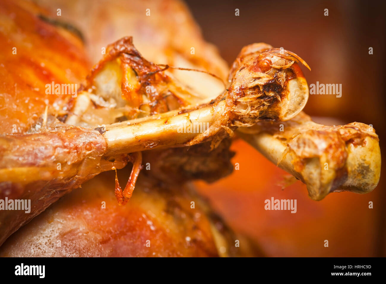 Truthahn hi-res stock photography and images - Alamy