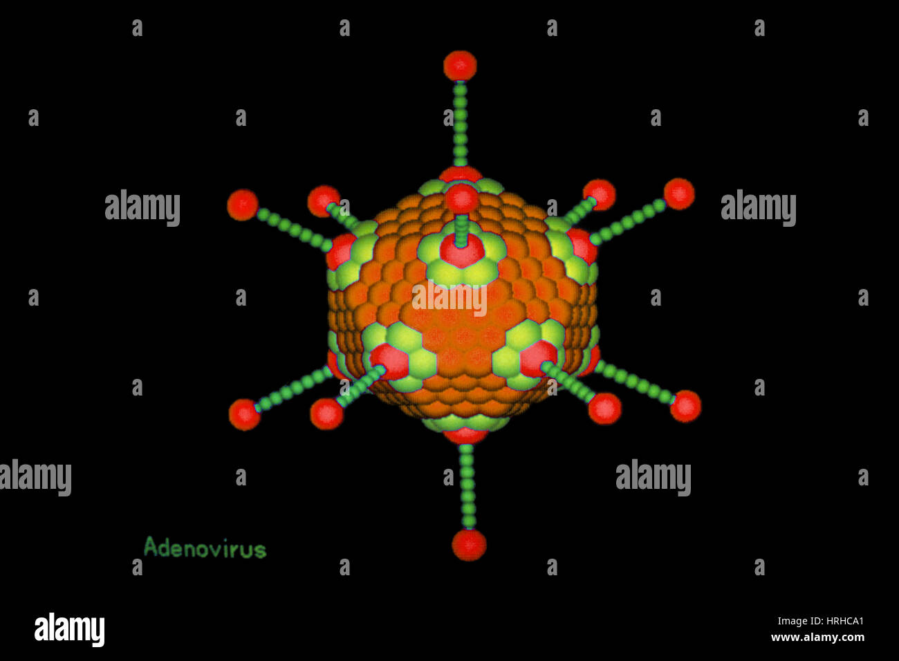 Adenovirus human hi-res stock photography and images - Alamy