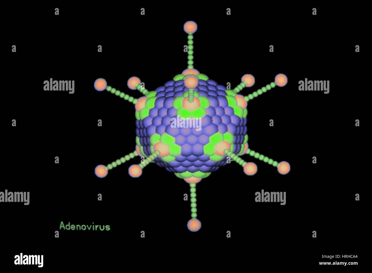 Adenovirus microscopy hi-res stock photography and images - Alamy