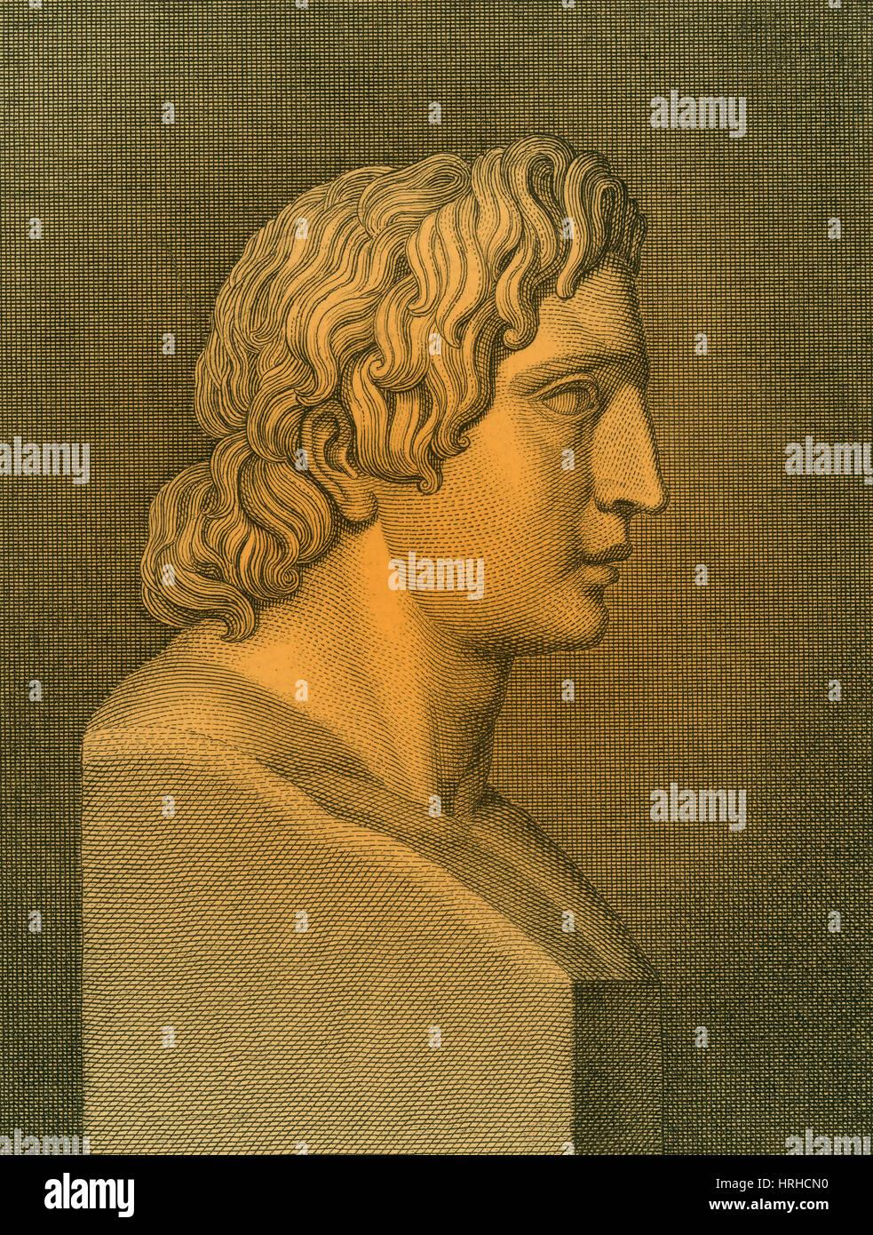 Alexander the great portrait hi-res stock photography and images - Alamy