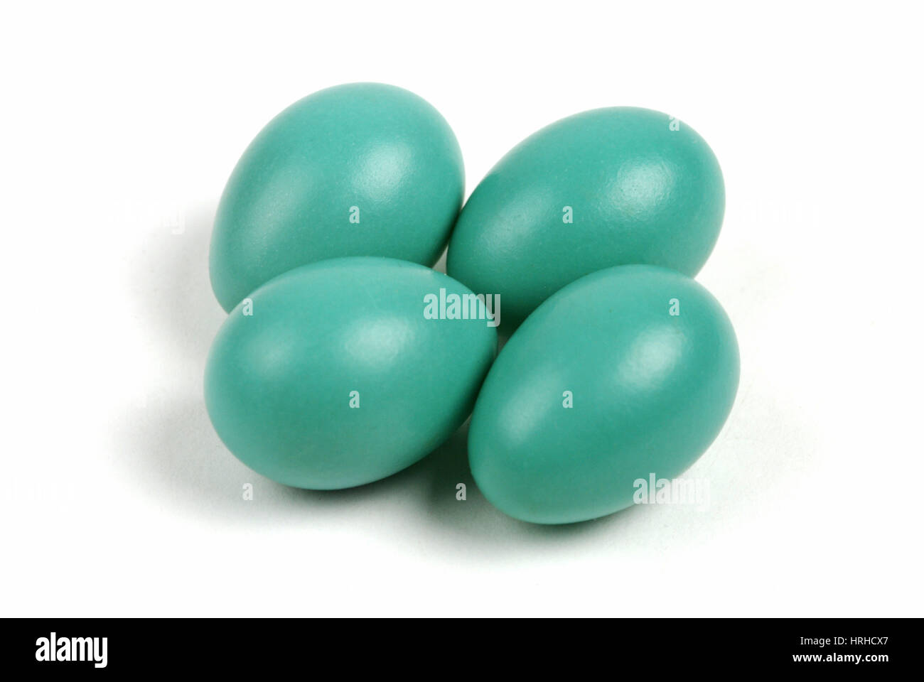 American Robin Eggs Stock Photo - Alamy