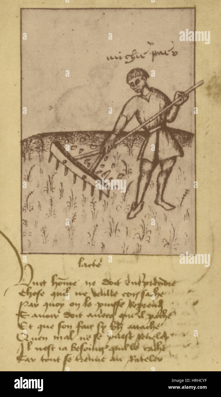 Agriculture, 15th Century Stock Photo - Alamy