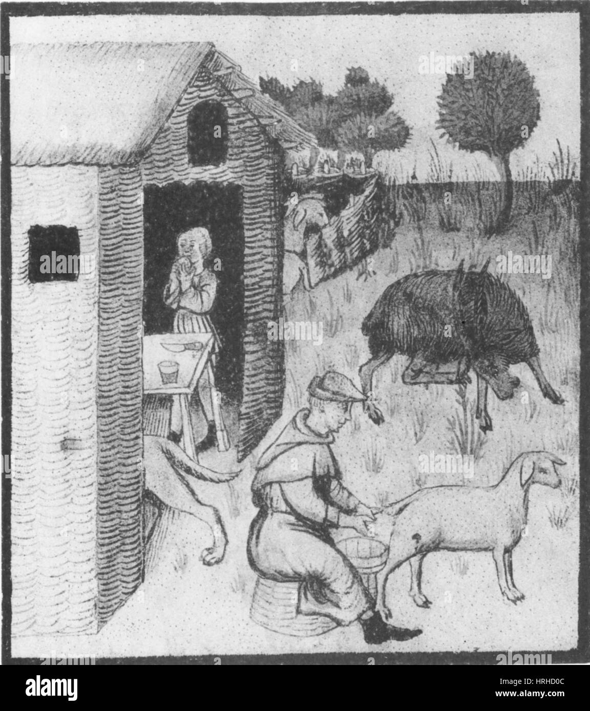 Agriculture, Medieval Farming Stock Photo - Alamy