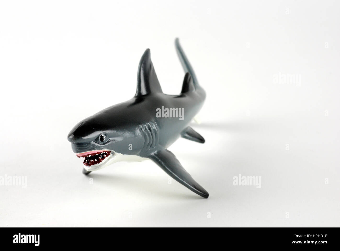 Shark dorsal fins hi-res stock photography and images - Alamy