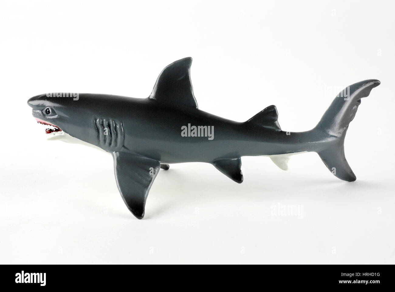 Shark dorsal fins hi-res stock photography and images - Alamy