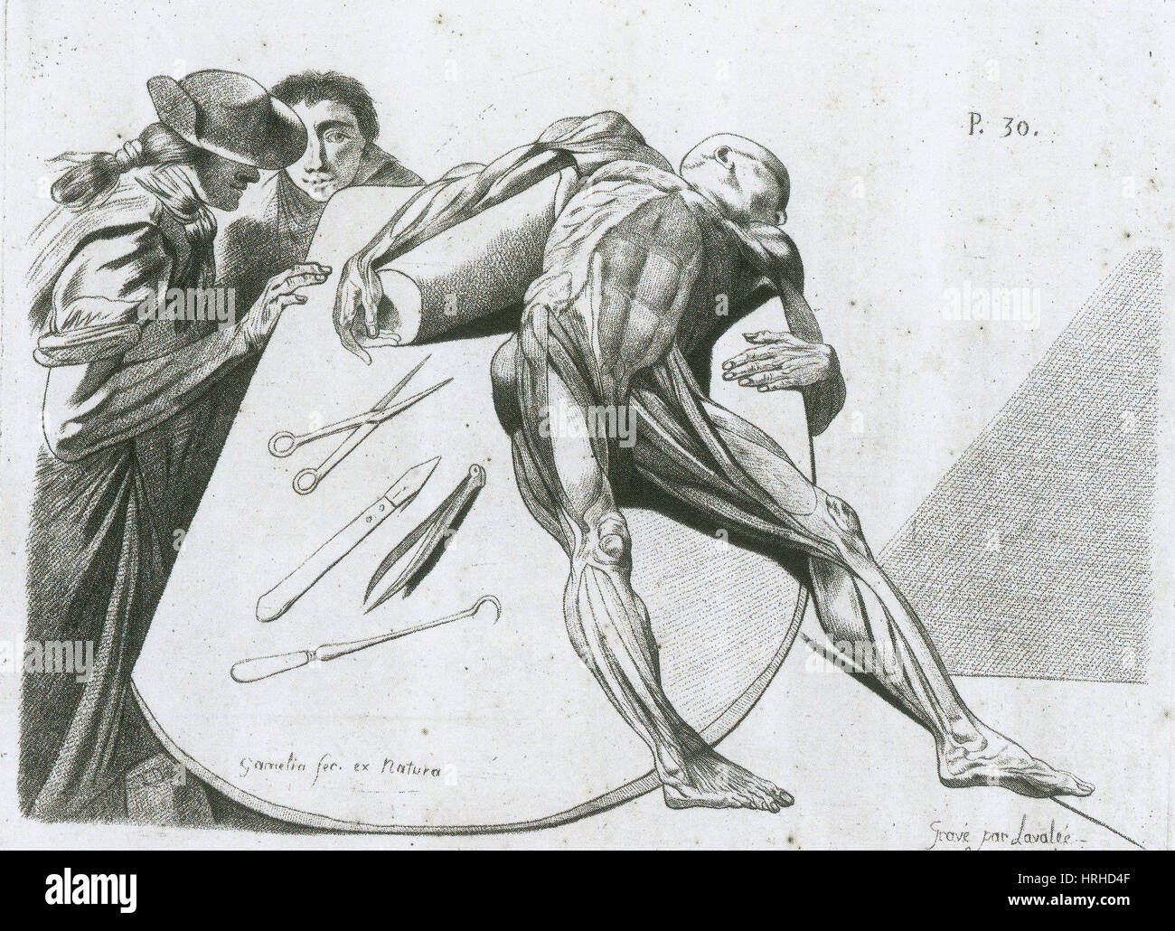 Anatomy class dissection hi-res stock photography and images - Alamy