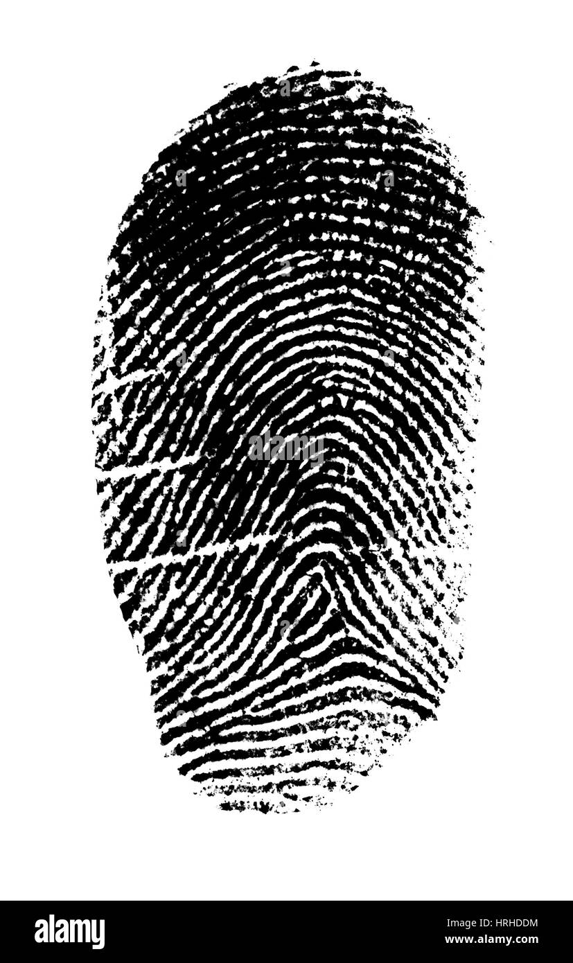 Tented arch fingerprint hi-res stock photography and images - Alamy