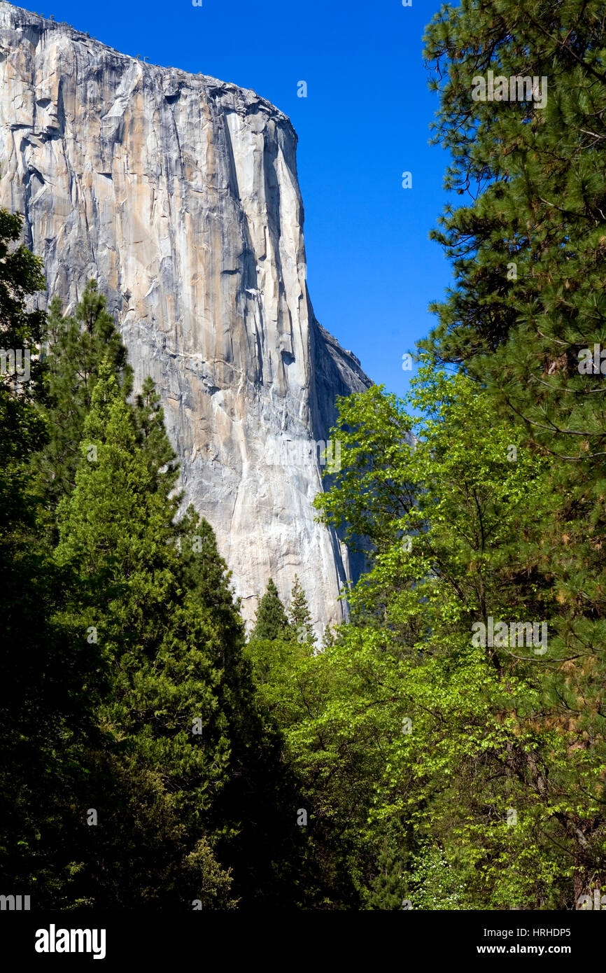 El capitan is vertical rock formation in yosemite national park hi-res ...