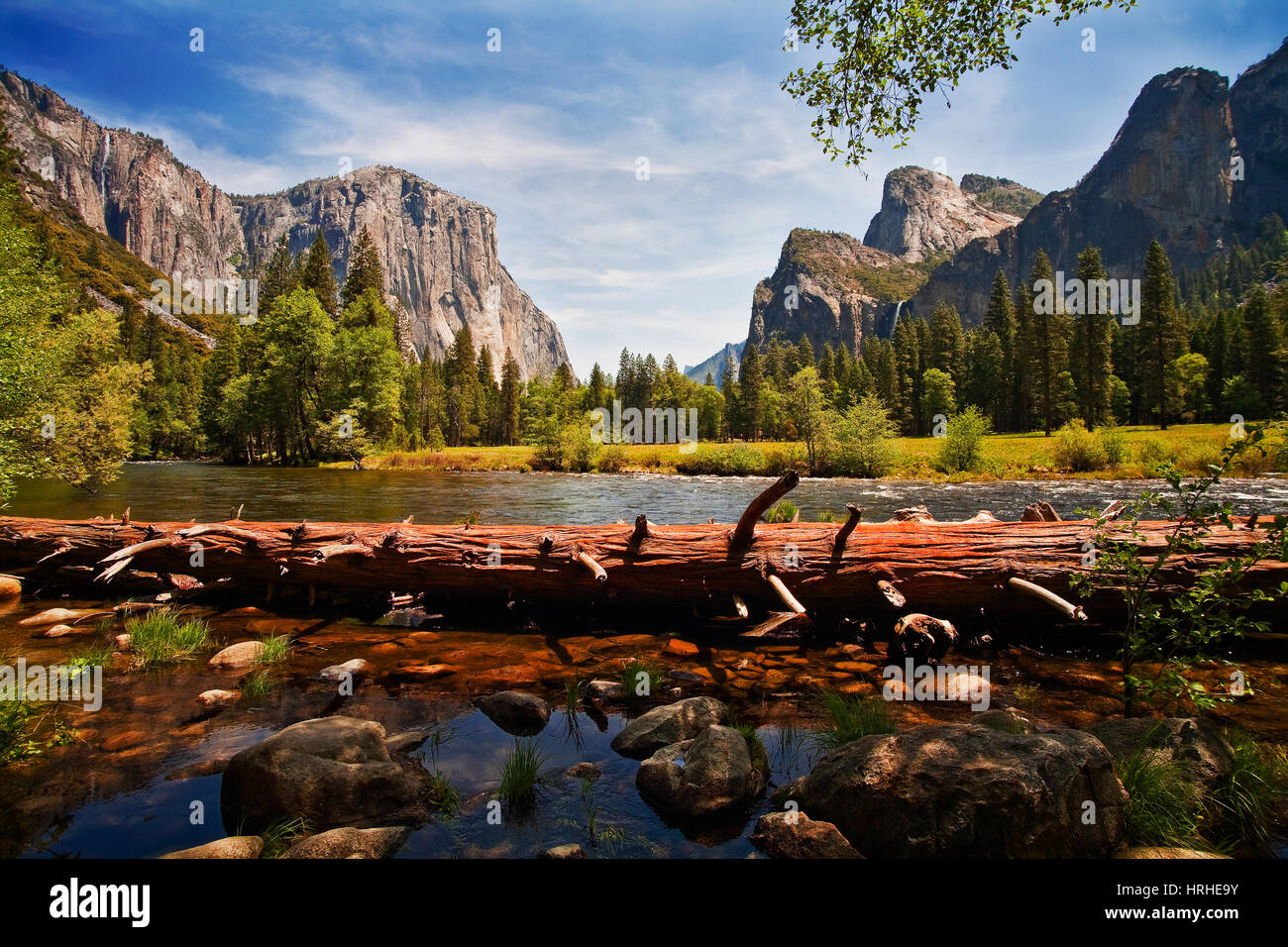 Fallen tree, Merced River, Yosemite Valley Stock Photo - Alamy