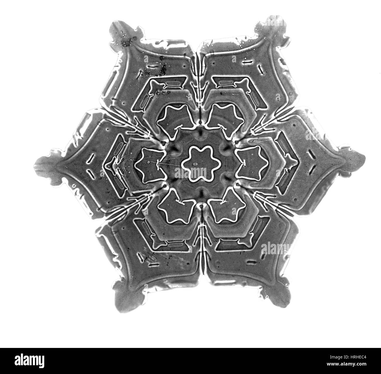 Wilson bentley snowflake hi-res stock photography and images - Alamy