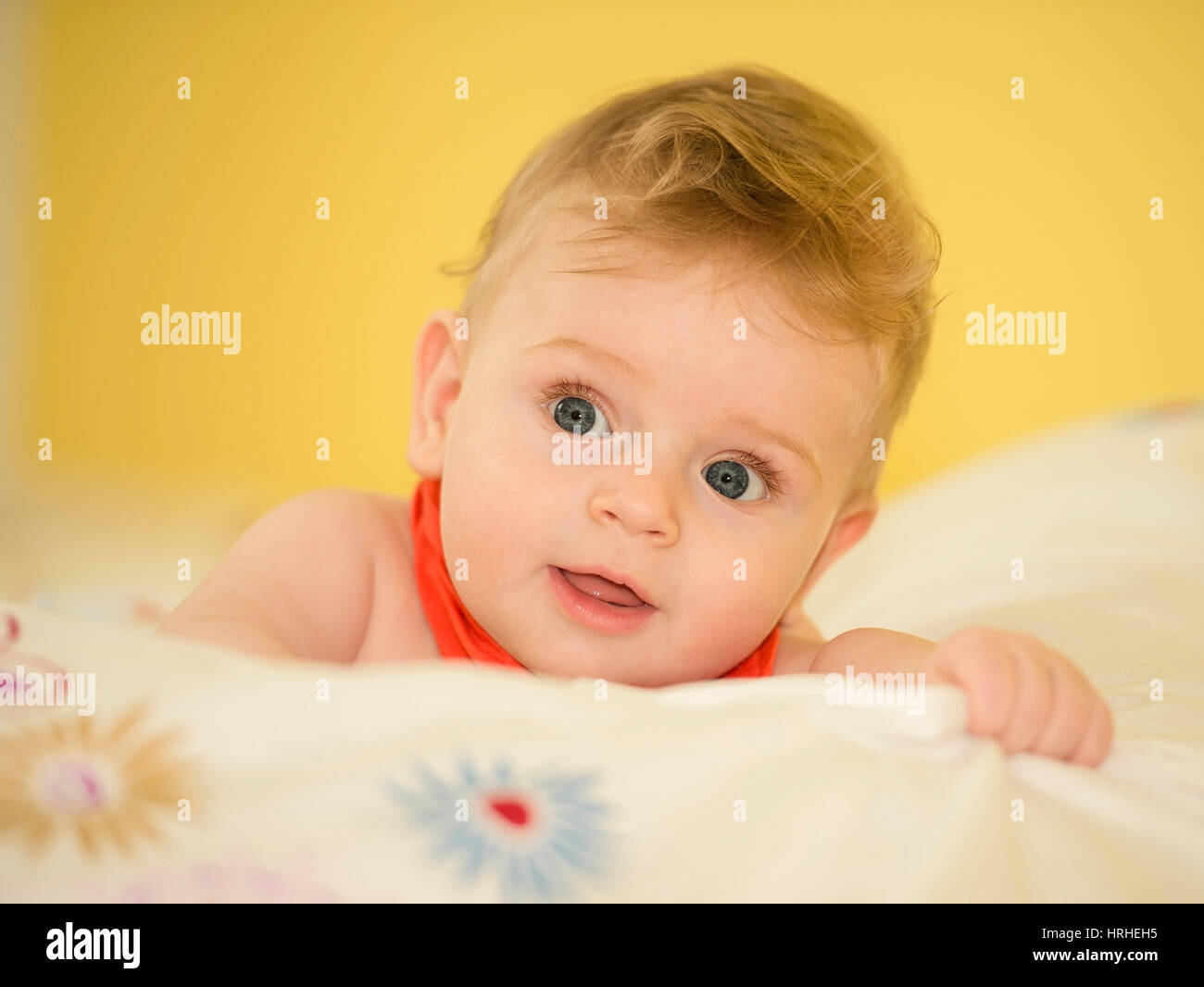 Bub, 6 Monate alt - little boy, 6 month Stock Photo - Alamy