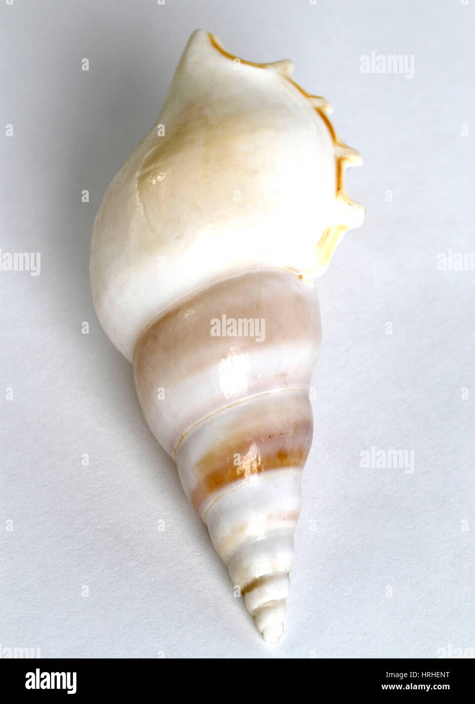 Curve object hi-res stock photography and images - Alamy