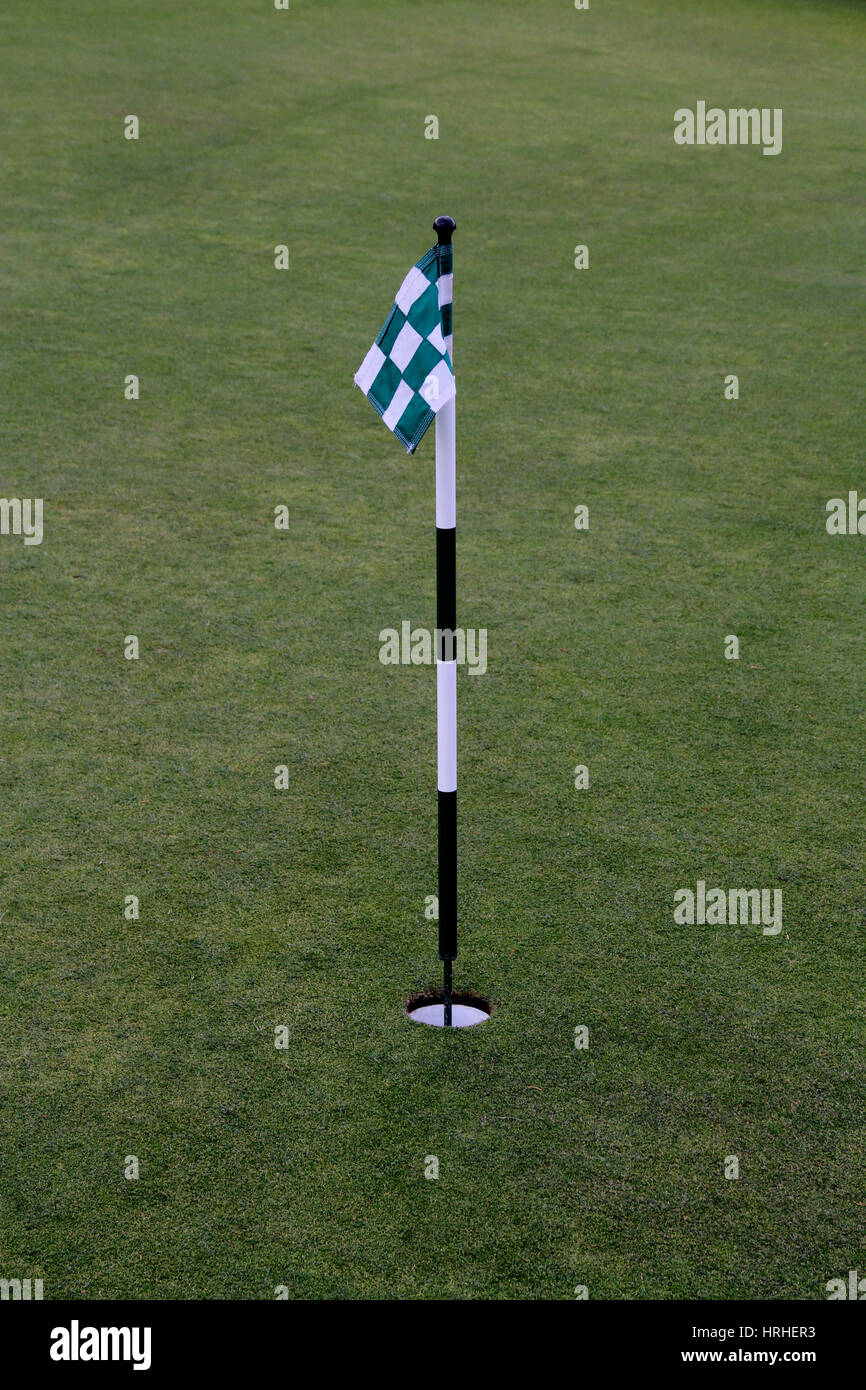 Checkerboard flag hi-res stock photography and images - Alamy