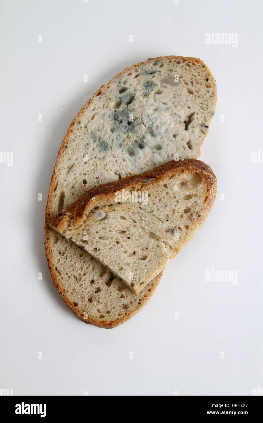 Spoiled bread hi-res stock photography and images - Alamy
