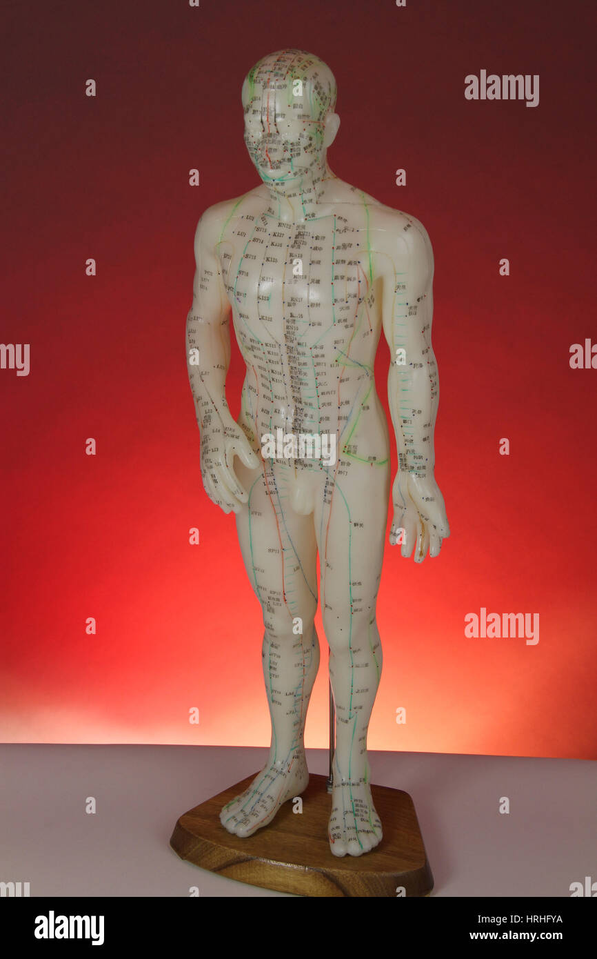 Acupuncture body model hi-res stock photography and images - Alamy