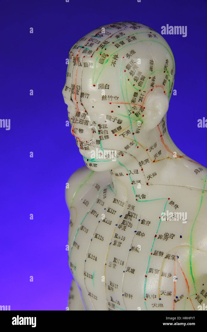 Acupuncture body model hi-res stock photography and images - Alamy