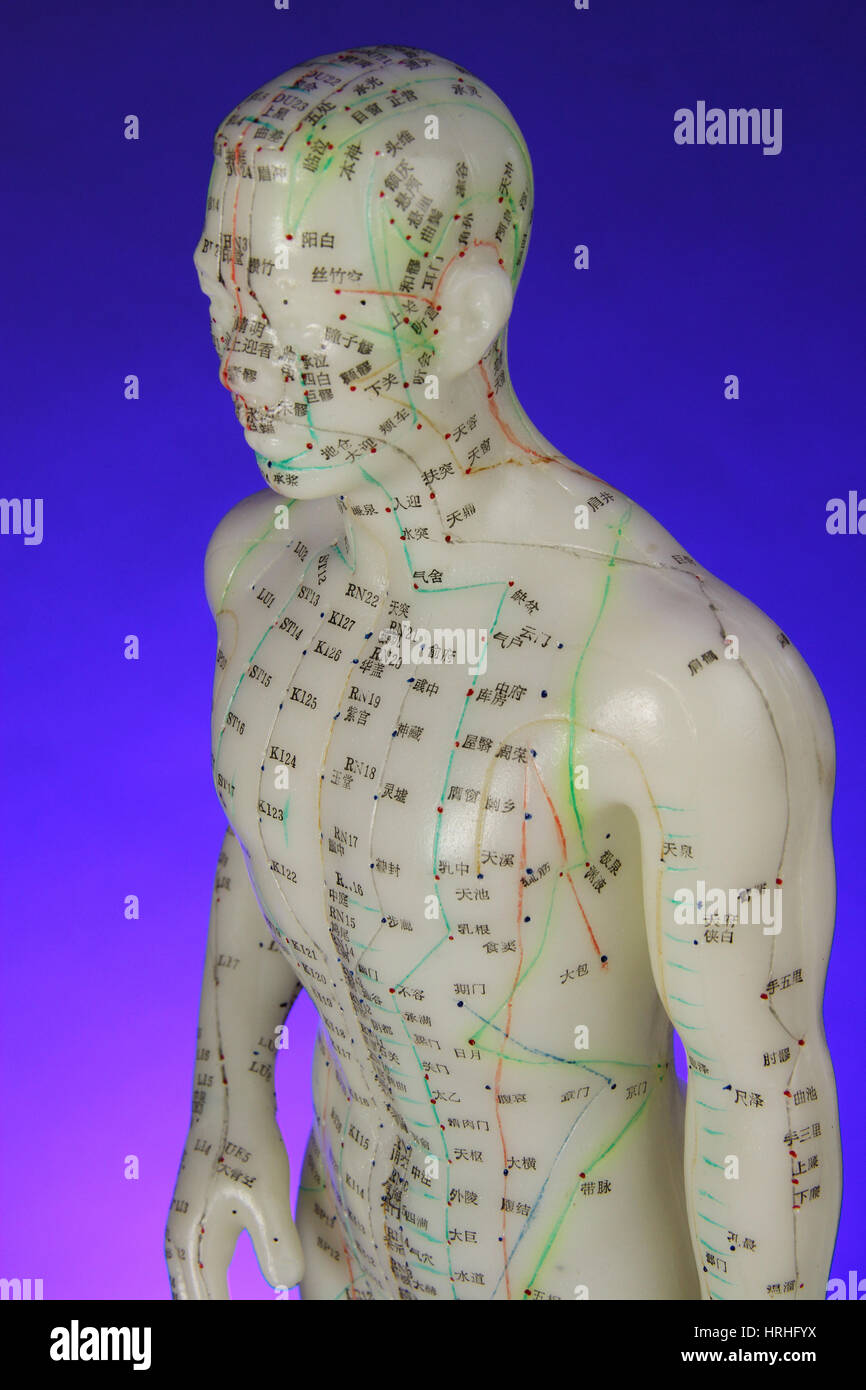 Acupuncture doll hi-res stock photography and images - Alamy